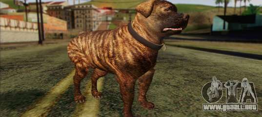 Rottweiler from GTA 5 Skin 1 para GTA San Andreas